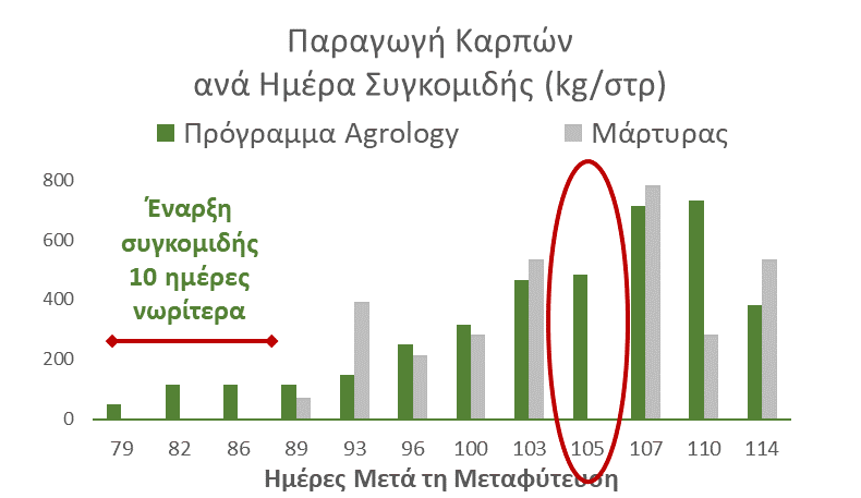 Αύξηση & Πρωίμιση Παραγωγής σε Τομάτα Θερμοκηπίου